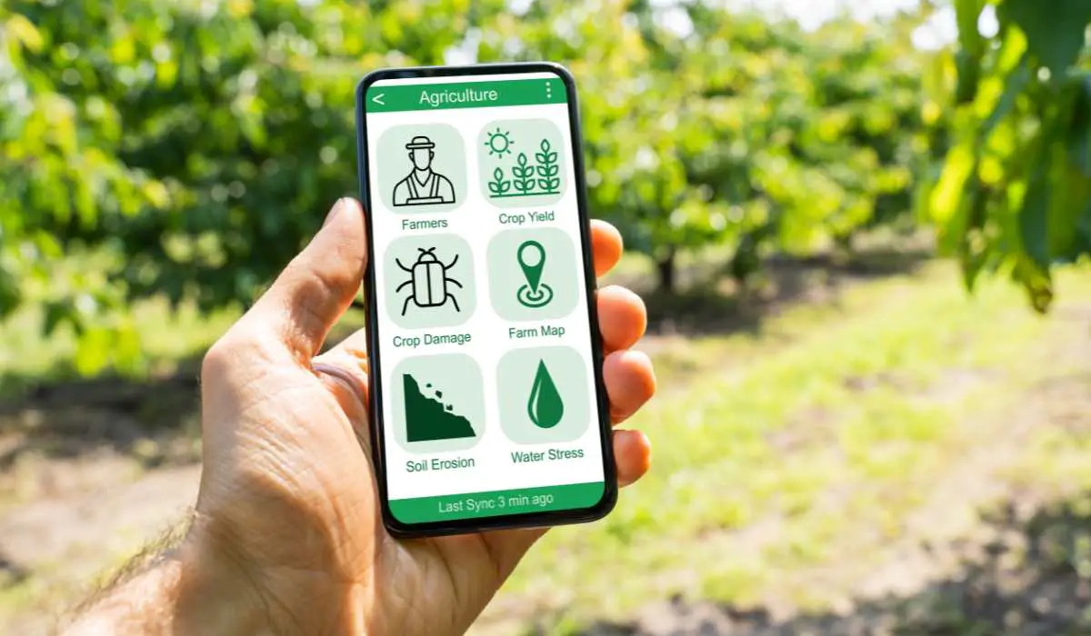 IoT in Agriculture: Revolutionizing Farming Efficiency and Productivity